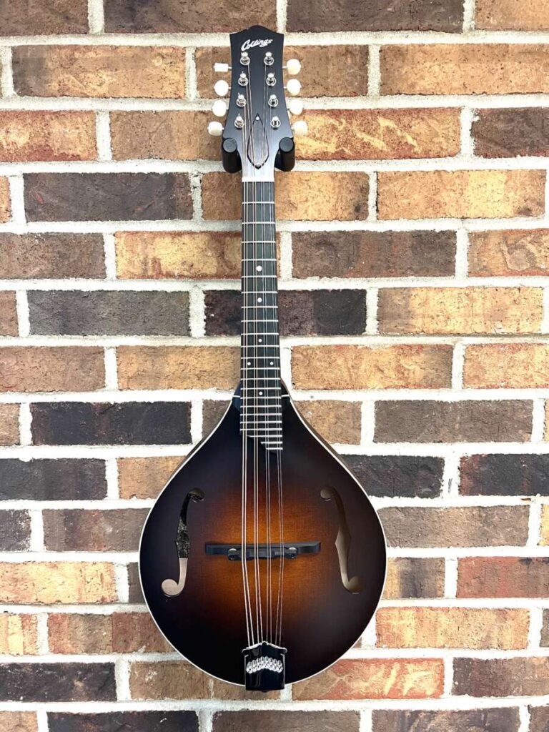 New Collings MT Mandolin - Mandolin Store