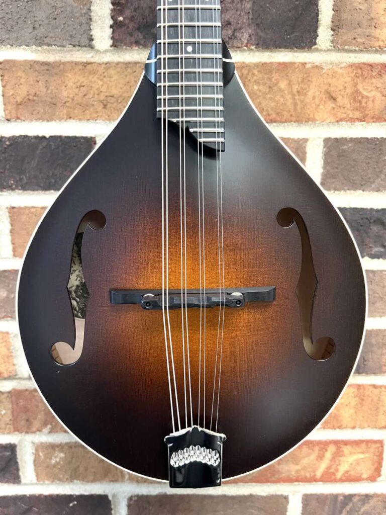 New Collings MT Mandolin - Mandolin Store