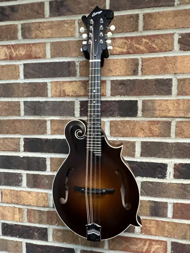 Collings MF Mandolin Ivory Bound & Gloss Top