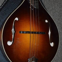 Wide Nut Mandolins | Mandolin Store