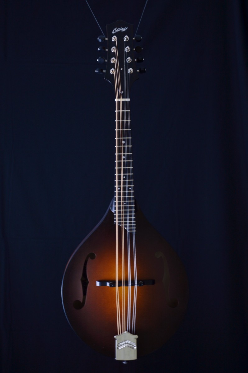 Collings MT Mandolin | Mandolin Store
