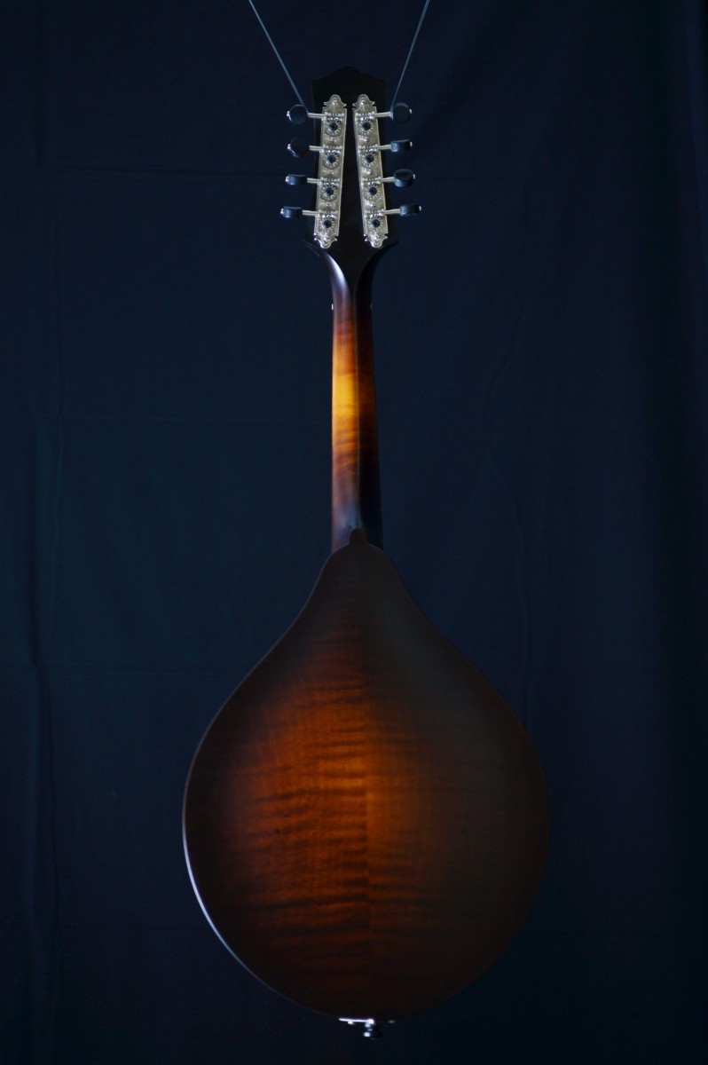 Collings MT Mandolin | Mandolin Store