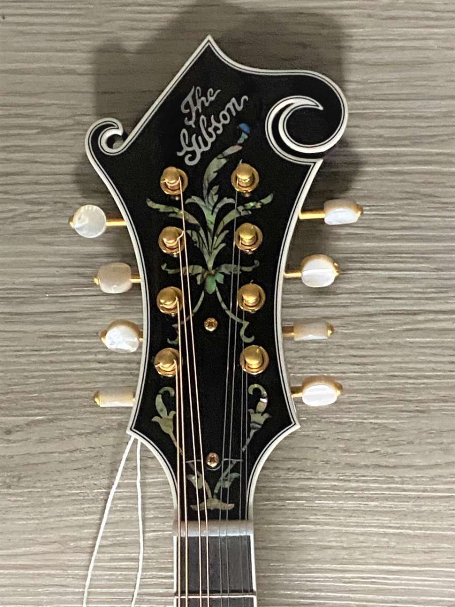 Gibson F5 Fern Mandolin - Stunning | Mandolin Store