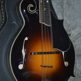 F-Style Mandolins Archives | Mandolin Store