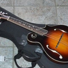 F-Style Mandolins Archives | Mandolin Store