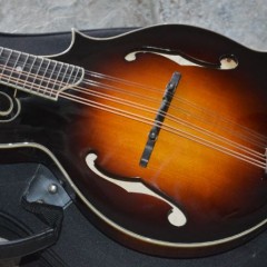 F-Style Mandolins Archives | Mandolin Store