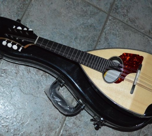 Eastman Rosewood Bowl Back Mandolin | Mandolin Store