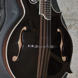 F-Style Mandolins Archives | Mandolin Store