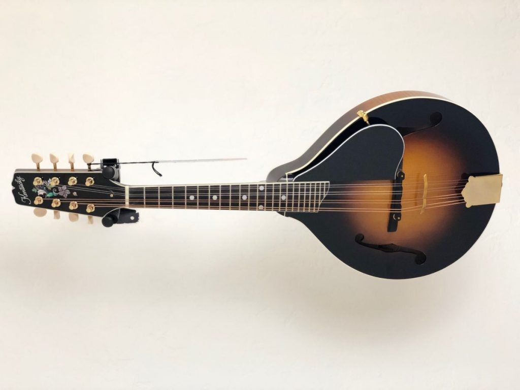 New Kentucky KM500 Mandolin - Gig Bag & Set Up - Mandolin Store