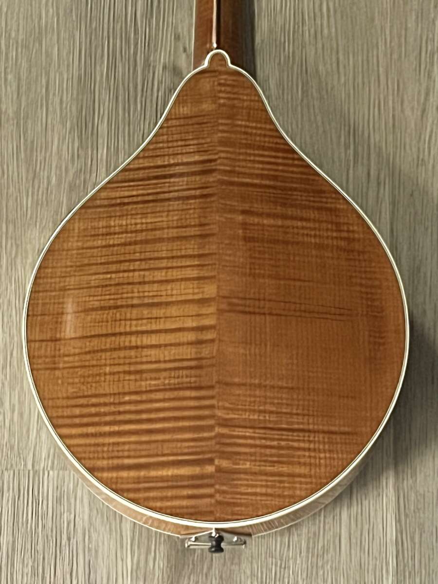 Bourgeois A Style Mandolin - Fully Torrefied - Mandolin Store