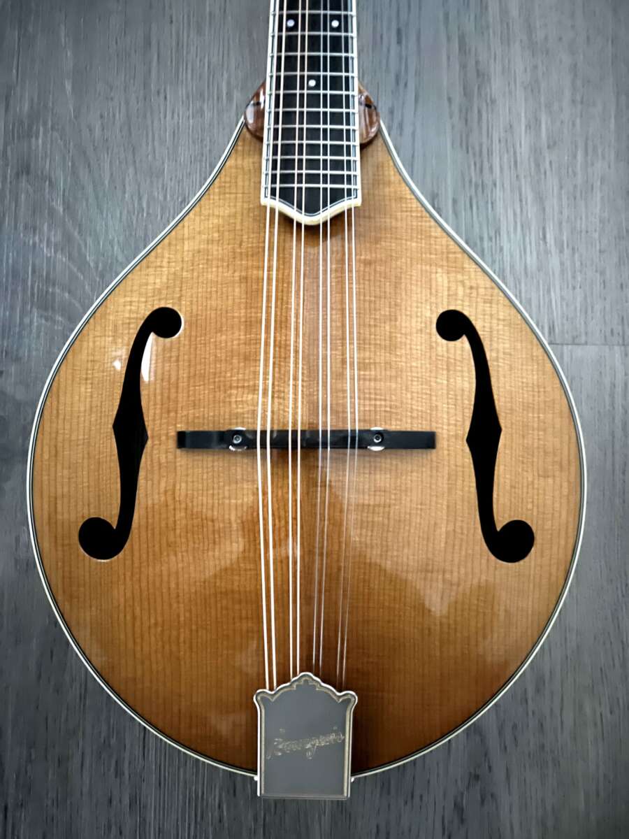 Bourgeois A Style Mandolin - Fully Torrefied - Mandolin Store