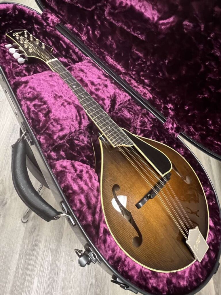 Hoffee Fiberglass F Mandolin Case - Brown - Mandolin Store