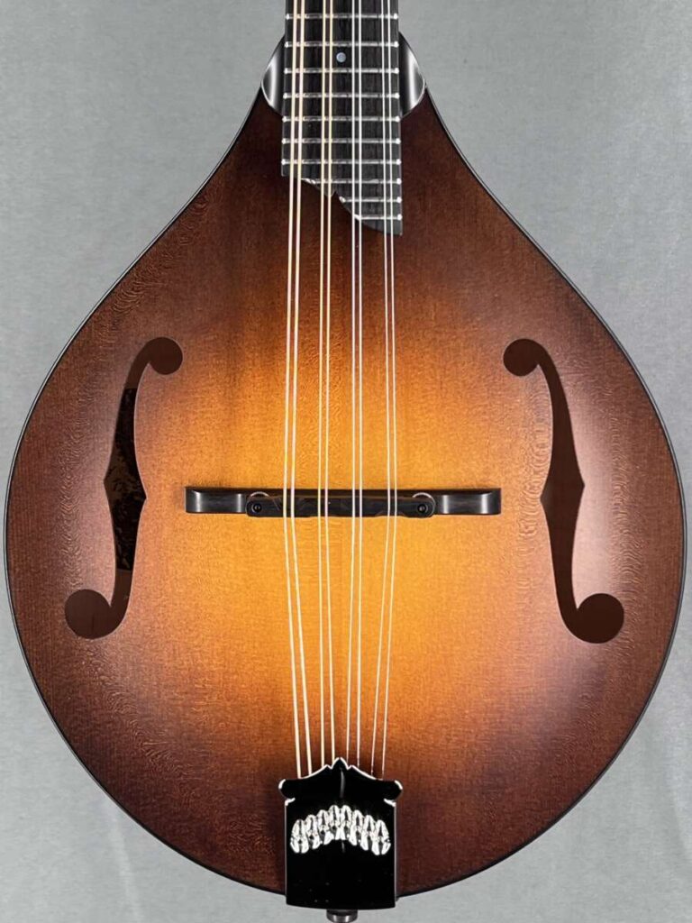 Collings MT Mandolin - Mandolin Store
